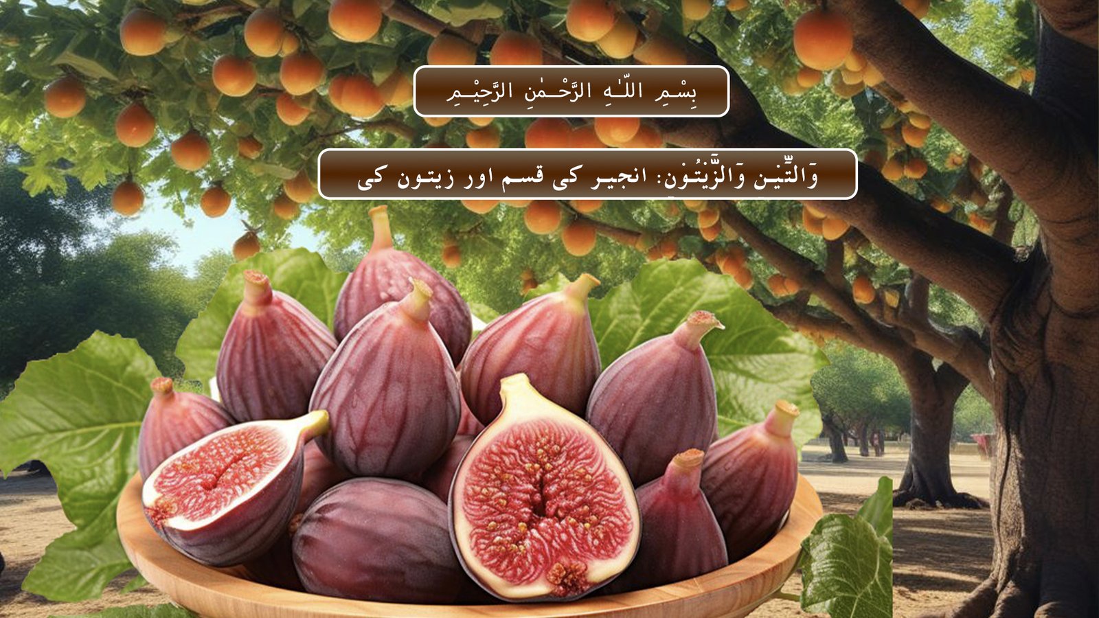 Fresh Fig Farma - Welcome to Organic Fig Farms