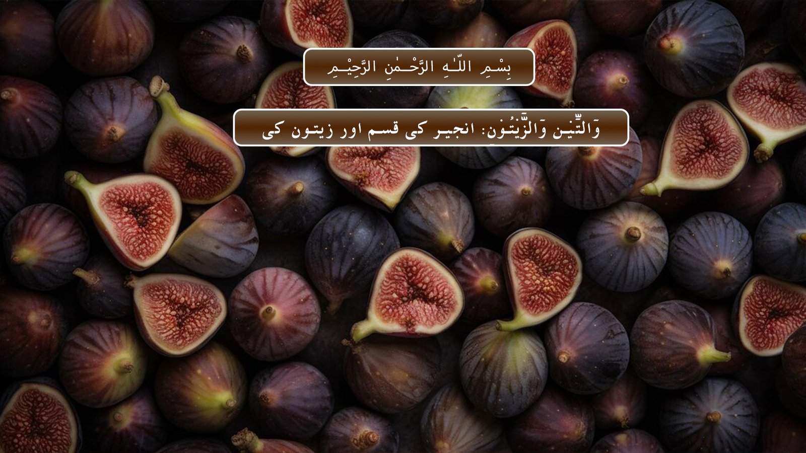 Fresh Fig Farma - Welcome to Organic Fig Farms
