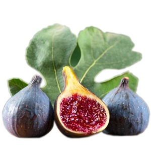 Fresh Fig Farma - Welcome to Organic Fig Farms